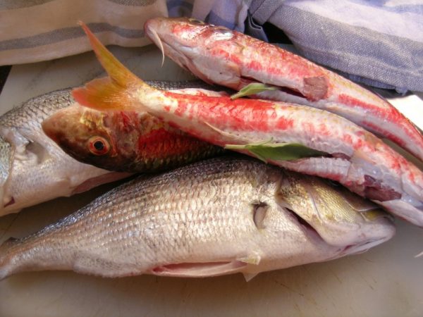 Zobatec in trilje s krompirjem in brokolijem - OblizniPrste.si