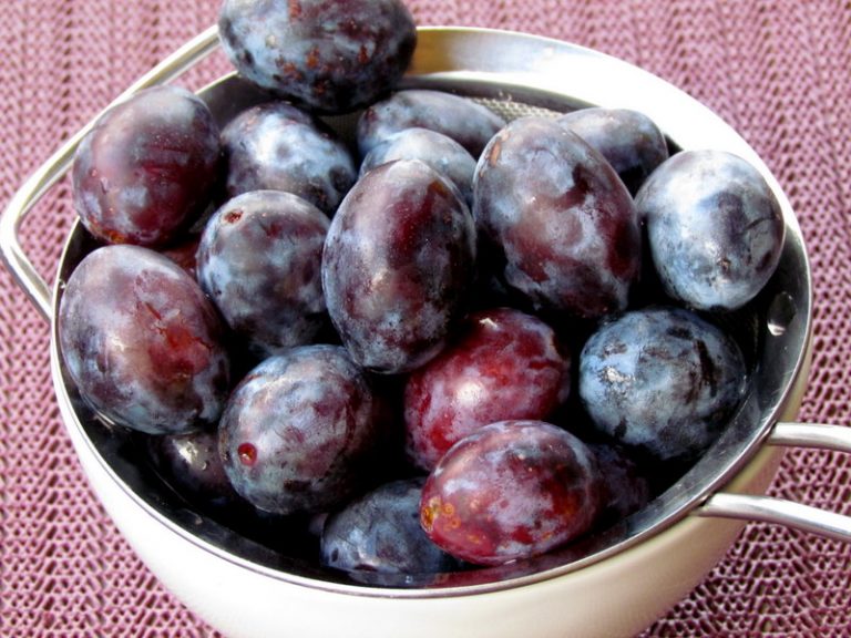 Slivov drobljenec - OblizniPrste.si