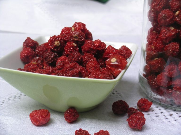 Volčje jabolko divja zakladnica zdravja - OblizniPrste.si