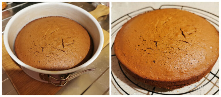 Enostavna sadna torta - OblizniPrste.si