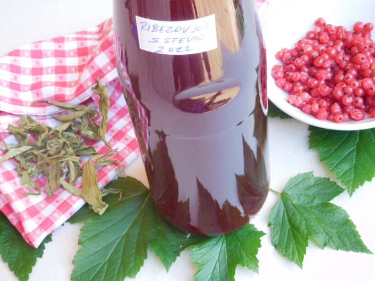 Sok iz rdečega ribeza s stevijo - OblizniPrste.si