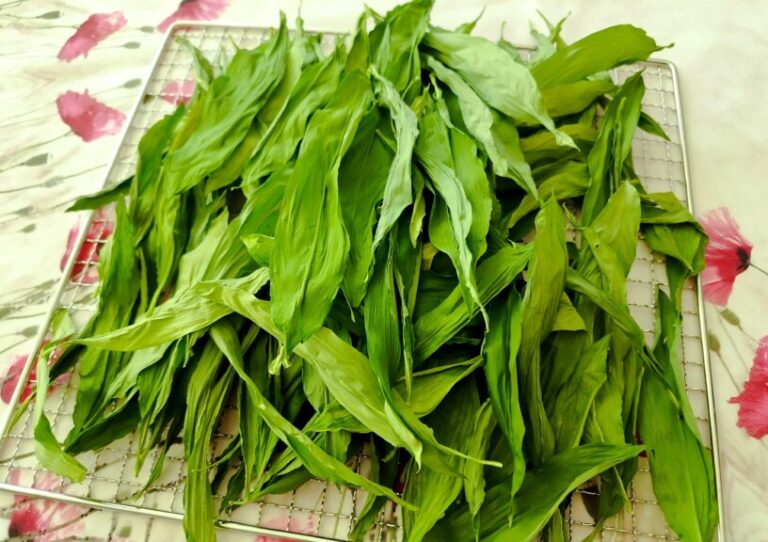 Sušen čemaž - OblizniPrste.si