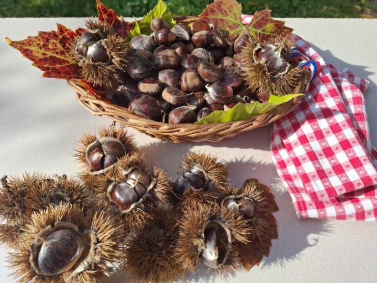 Kostanj v zasipnici - OblizniPrste.si